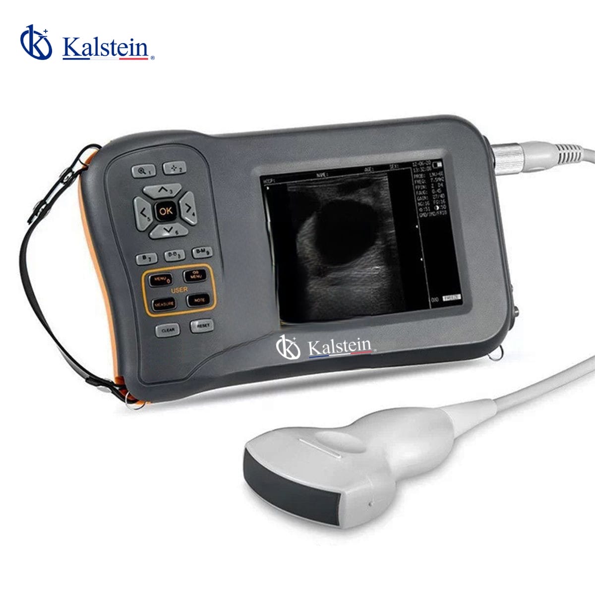 Veterinary Ultrasound - Yul Gary