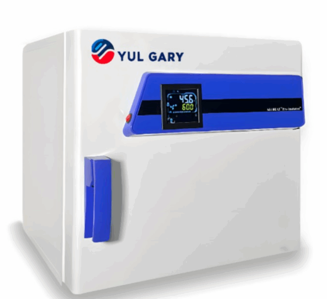 Advanced Programmable Thermostatic Bacteria Incubator: Cutting-Edge ...